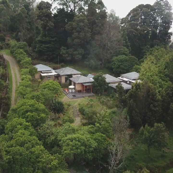 Akira Ray By Baywatch Stayzz - Kodaikanal