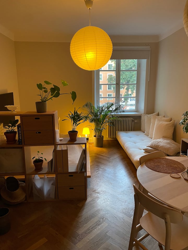 Mysig Lägenhet På Södermalm - Stockholm
