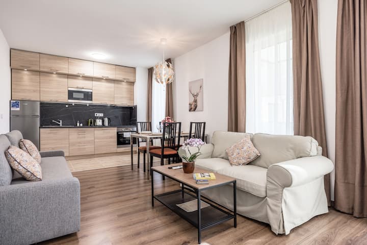 211/modern Condo In Heart Of Budapest - 布達佩斯