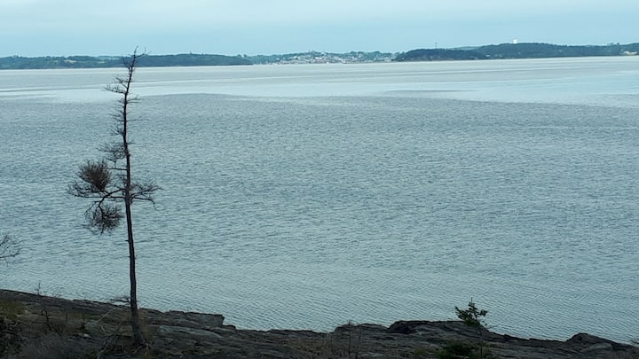 Beautiful Rv Site For The Individual Camper - Lunenburg