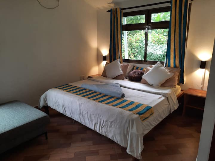 Room 1: Jaqfruit - Seychelles