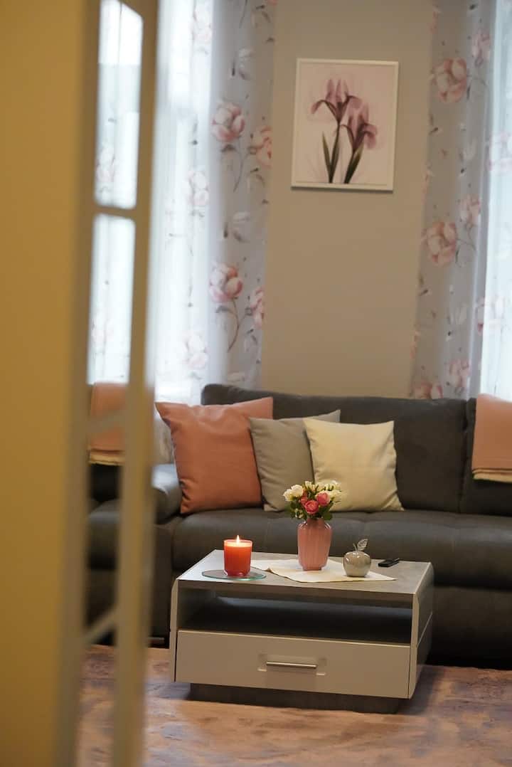 Newly Furnished Apartment Near The City Center - Viena