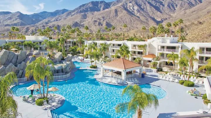 #Pool Paradise! 2/1 Poolside Bar N'grill! Kitchen! - Palm Springs, CA