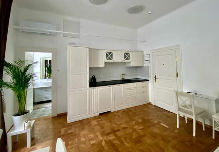 Ars Longa Heritage Apartments - Lovely&balcony - Ljubljana