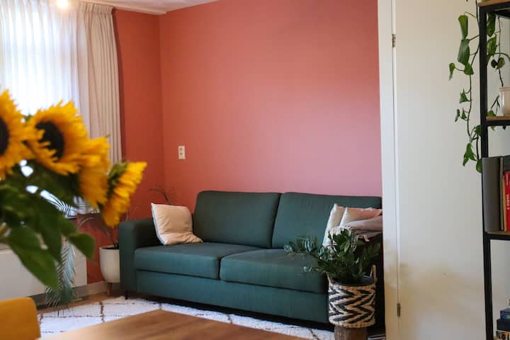 Rijtjeshuis Bij Strand Grand Prix, Haarlem Centrum - Zandvoort