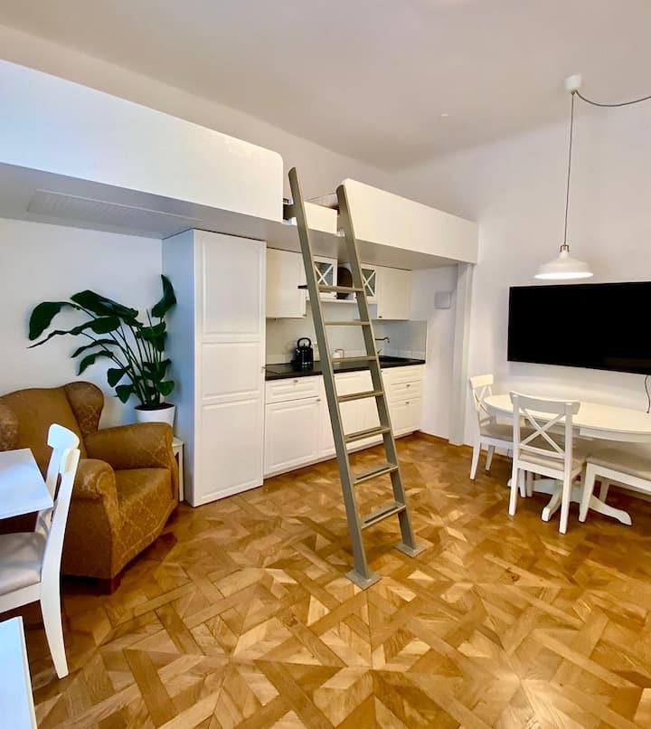 Ars Longa Heritage Apartments - Modern Comfort - Ljubljana