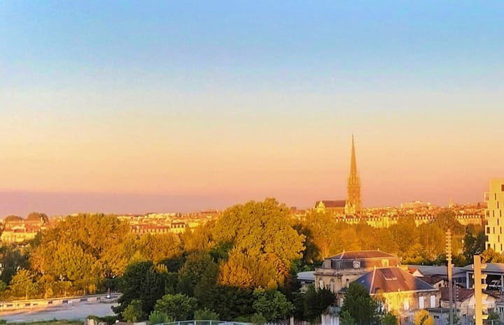 Une Chambre Dans Un Appartement Partagé à Bordeaux - Bordeaux