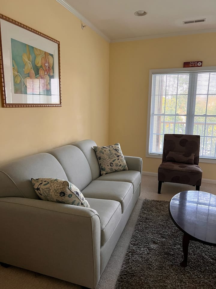 Lovely 2-bedroom Condo - Rehoboth Beach, DE