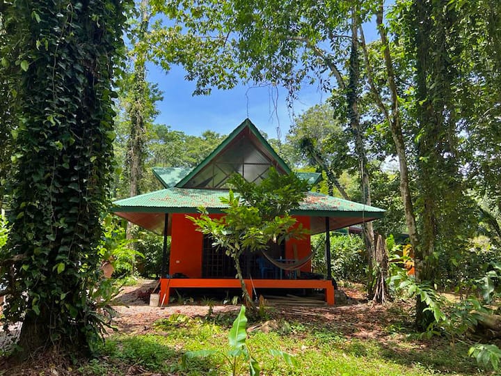 Casa Cacao En Playa Chiquita, A 5 Min De La Playa - Punta Uva