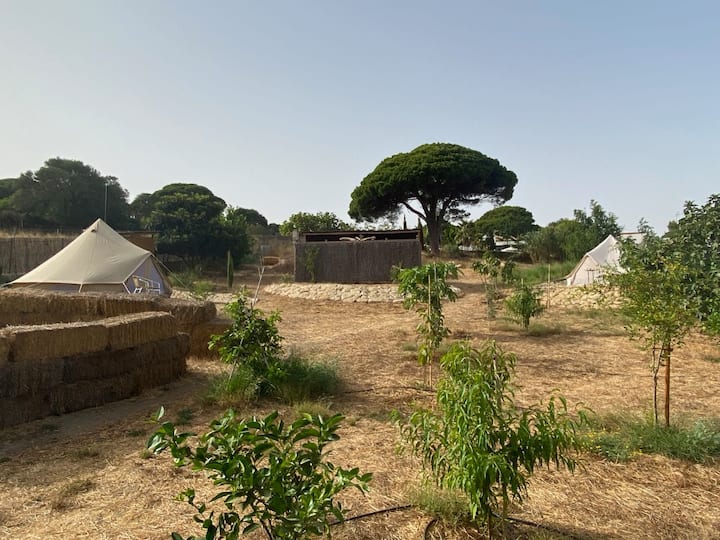 Two Double Eco Glamping Tents At Stone Pines - Conil de la Frontera