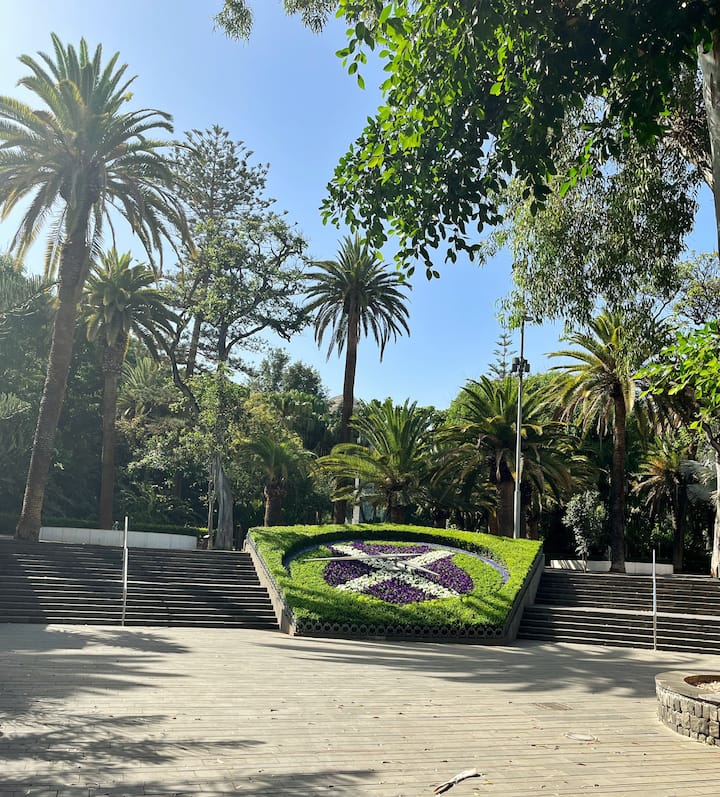 Apartamento Céntrico En El Pulmón De Santa Cruz - Santa Cruz de Tenerife