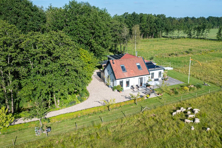 Gastenverblijf Voor 4 Personen In De Friese Wouden - Dokkum