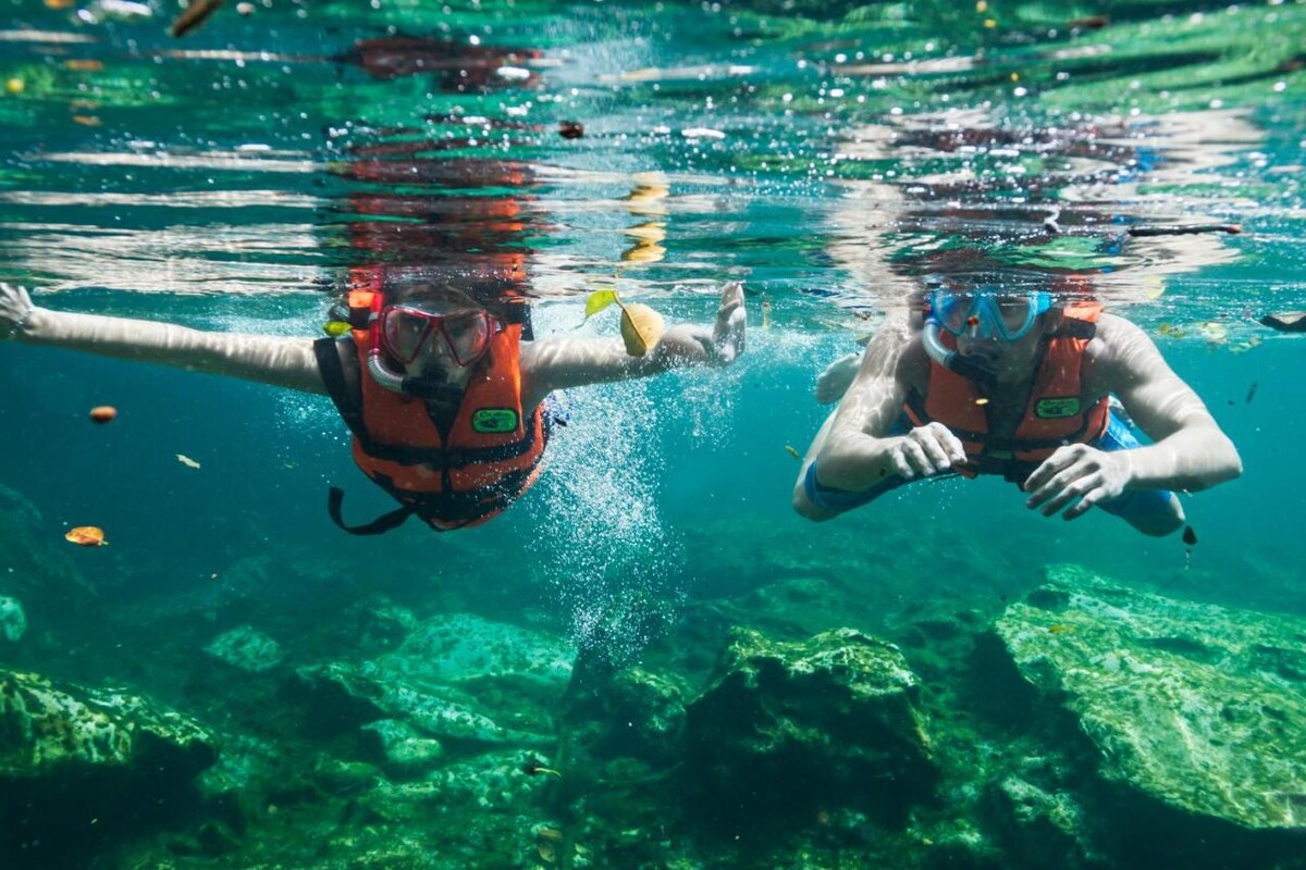 VIP Access • Kids eat FREE at Sandos Caracol - Resorts for Rent in ...