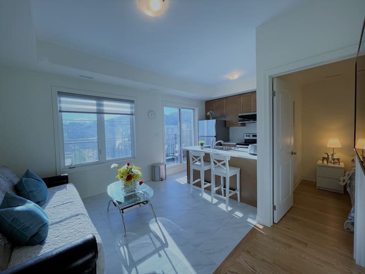 Cozy 1 Bedroom Unit With Separate Entry & Balcony - Markham