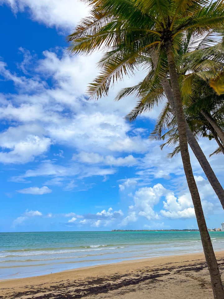 Luxury On The Beach - San Juan