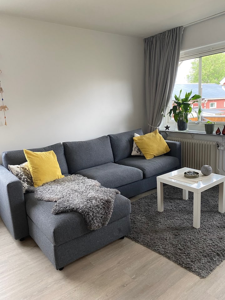 Central Two Room Flat With Free Parking - Åsele