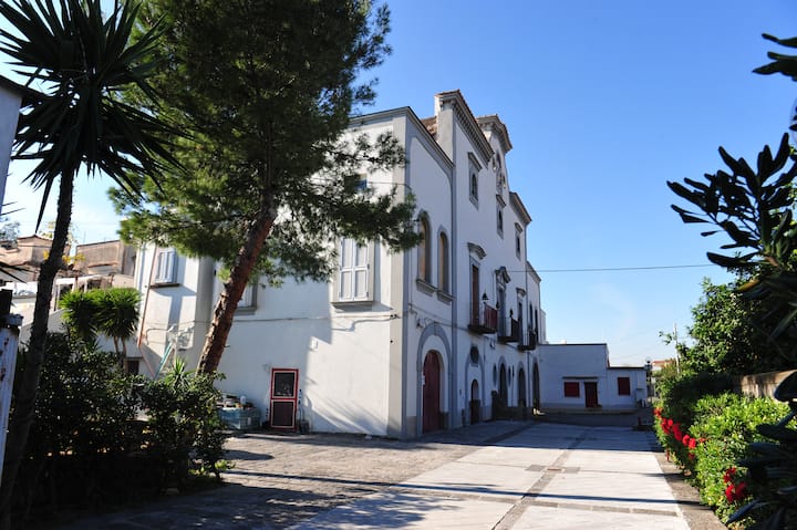 Villa Vesuviana - Ampio Monolocale Piano Terra - Torre del Greco