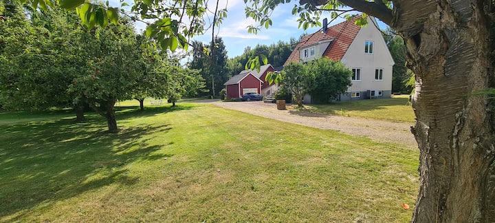 Mitt I Skäret - Nära Till Allt I Detta Paradis! - Höganäs