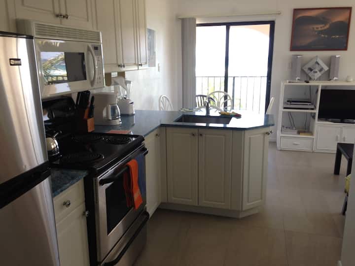 Prime, 1-bedroom Beachfront Apt, Car Included! - Cayman Islands