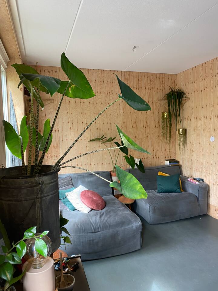 Platteland Woning In De Polder - Medemblik