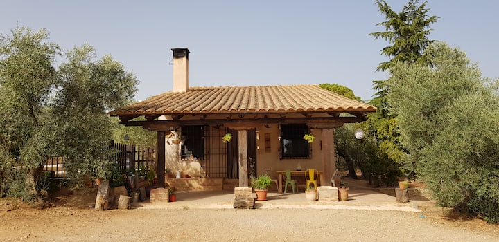 Deluxe Villa With Pool - Puerto Lápice