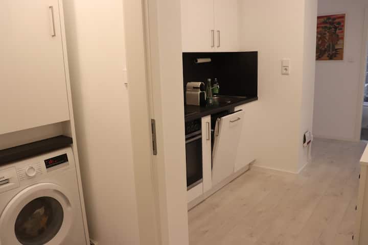 Lovely 1-room Apartment In The Heart Of Munich - Munich