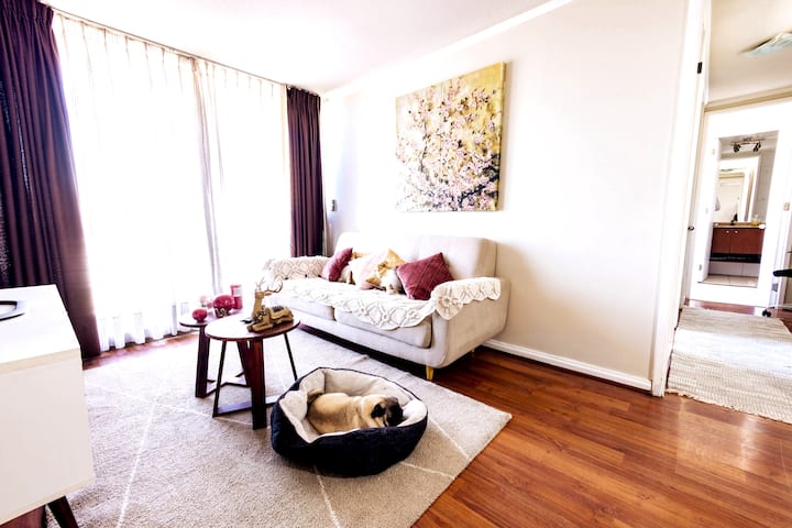 Precioso Dpto 3d-2b (Estacionamiento Incluido) - Santiago, Chile