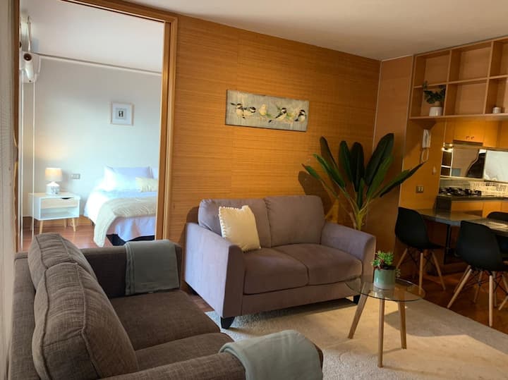 Fantástico Departamento 2 Dormitorios Providencia - Santiago