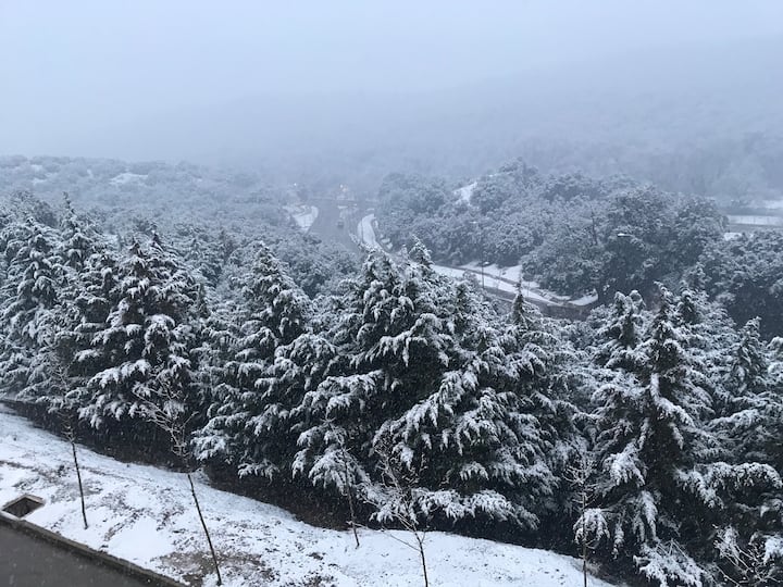 Appartement Sans Vis à Vis, En Face De La Forêt - Ifrane