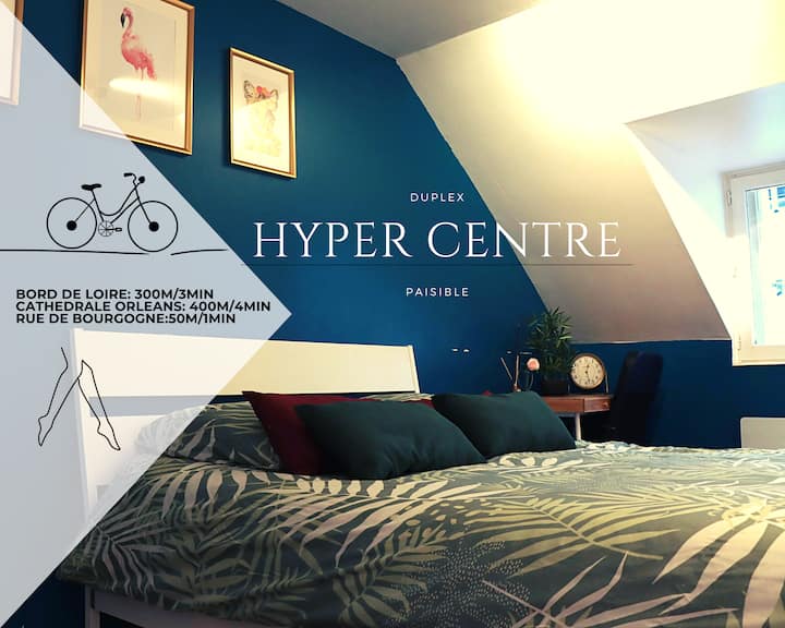 Grand Duplex En Hyper-centre - Orléans