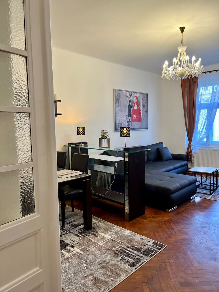 Spacious Apartment, Prague Center, Unesco, Garage - Prague