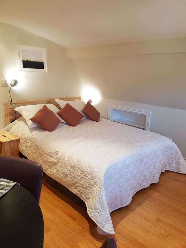 Newly Renovated Unique Over Garage Loft Studio - Mississauga