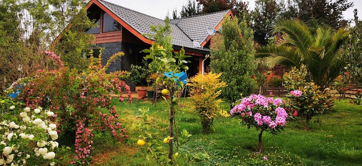 Acogedora Cabaña En Emplazada En Un Entono Natural - Hualqui