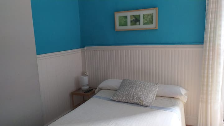 Pension Manoli Hab 9 Con Wifi  (Cama 120 Cm) - Bilbao