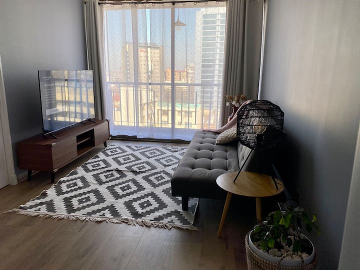 Beautiful Apartment At Great Location - Providencia