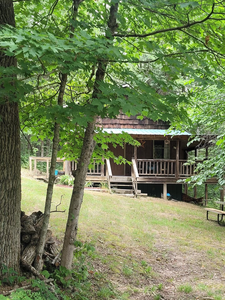 Buffalo Trails Cabin - Jasper, AR