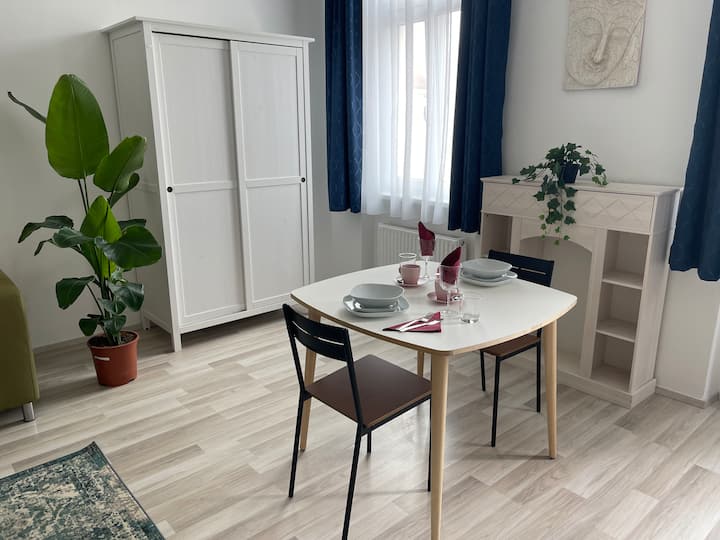 Gesamte Unterkunft Im Zentrum Von Wien Top 27 - Wien