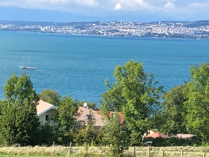20m2 - Evian Les Bains - Chalet 2 - Évian-les-Bains