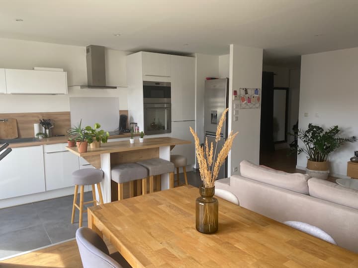 Appartement Charmant Et Pratique - Nord