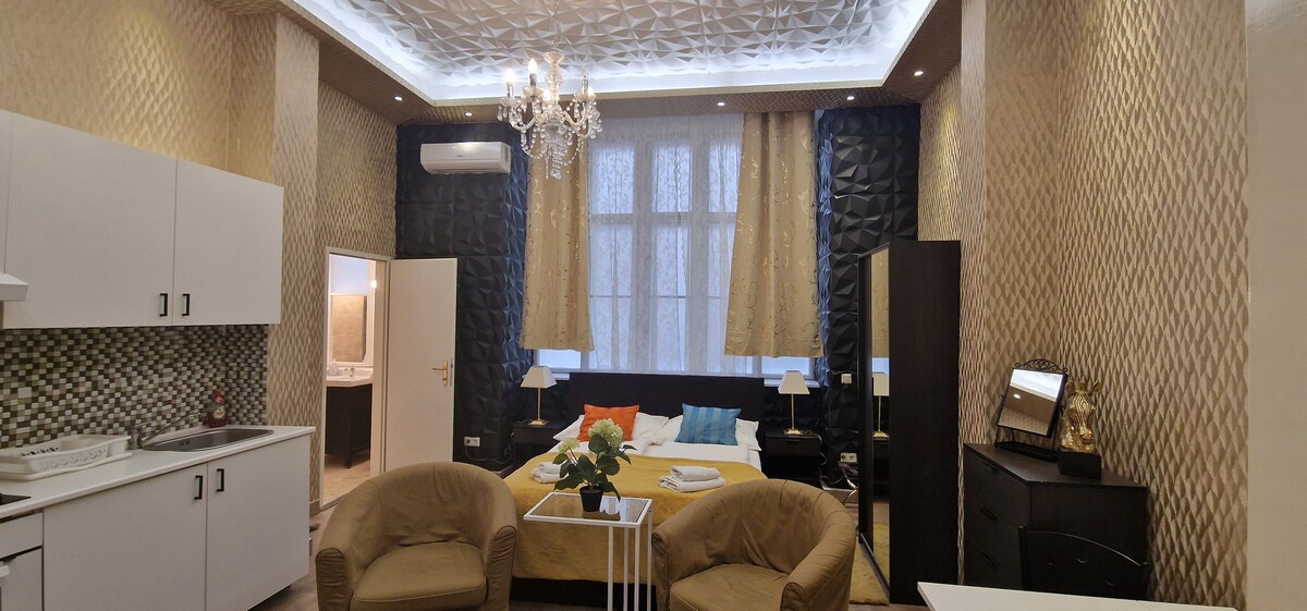 Studio Apartment in Vienna Downtown for 2 - Apartments for Rent in ...