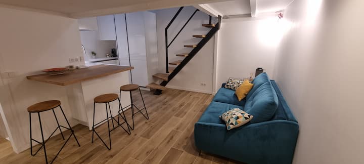 Loft Design 39 M², Quartier République - Paris