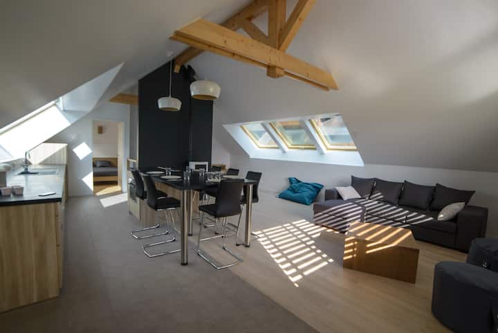 Duplex Menthon St Bernard Vue Lac Annecy Plage200m - Talloires-Montmin