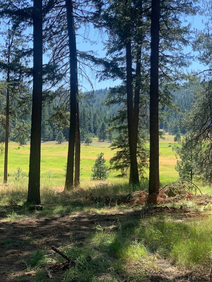 Primitive Campsite 500’ From Loon Lake/lake Access - Loon Lake, WA