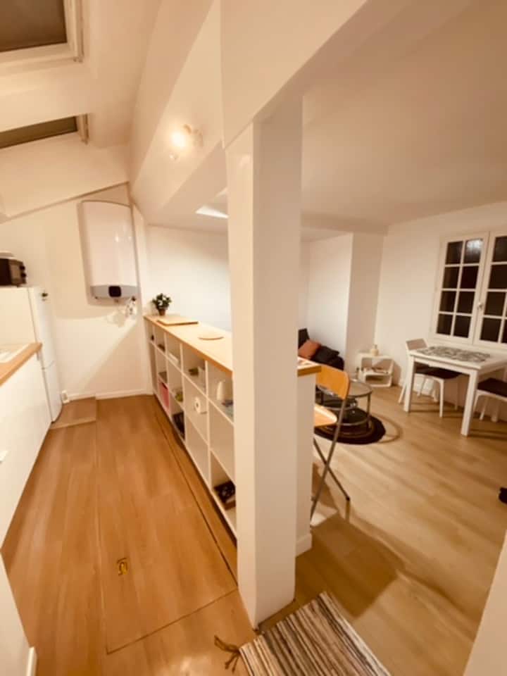 Paris Louvre Tuilerie Superbe Appartement - Paris