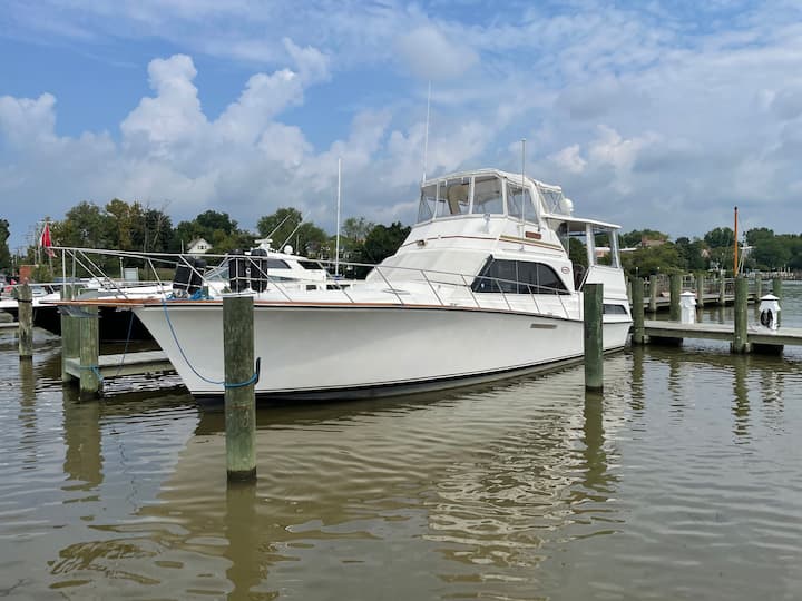 Peaceful Retreat In Beautiful Georgetown, Sc - Georgetown, SC