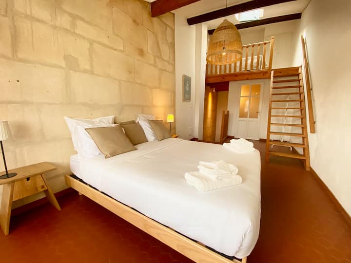 Maison En Pierre · Vue Sur Le Rhône · Centre Arles - Arles