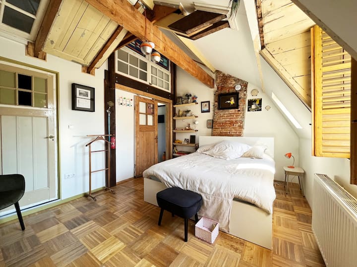 Atmospheric Loft, Free Parking, Center Of Haarlem - Haarlem