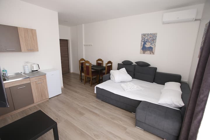 Apartman Br4 - Paracin