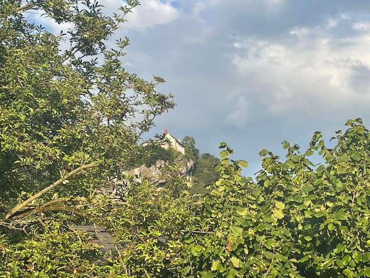 Nette Kleine Wohnung Mit Balkon - Bregenz
