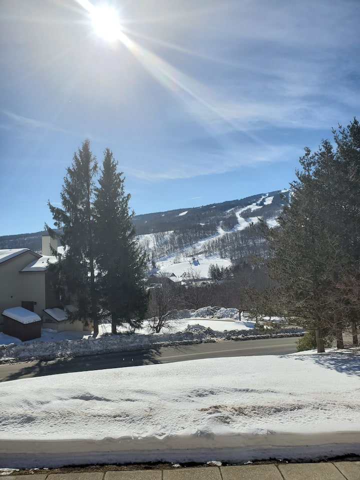 Cozy Mt. Snow Ski Condo - Dover, VT